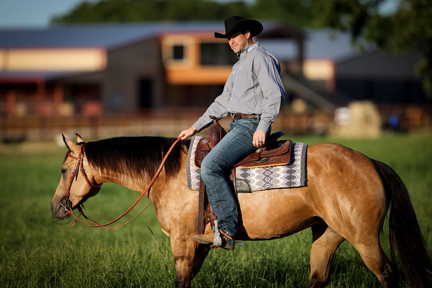 Black Rasp Collection – Cowboy Tack