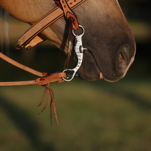 Cowboy Collection - Cowboy Tack