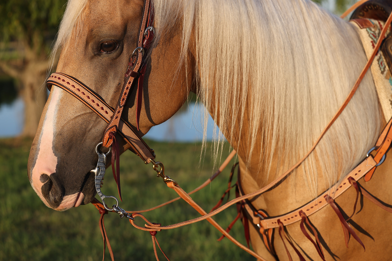 Cowboy Collection - Cowboy Tack