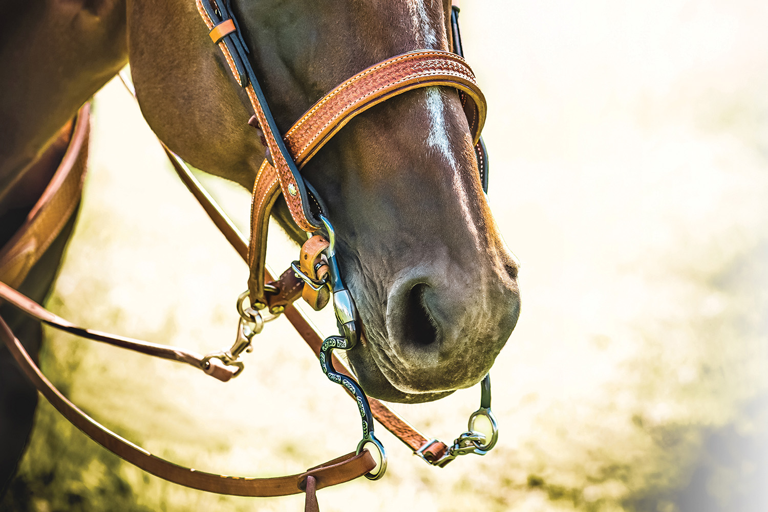 Golden Spider Stamp Leather – Cowboy Tack