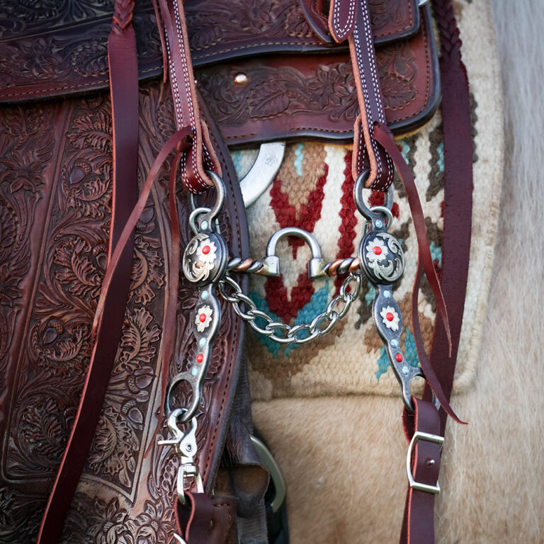 Southwest Collections - Cowboy Tack