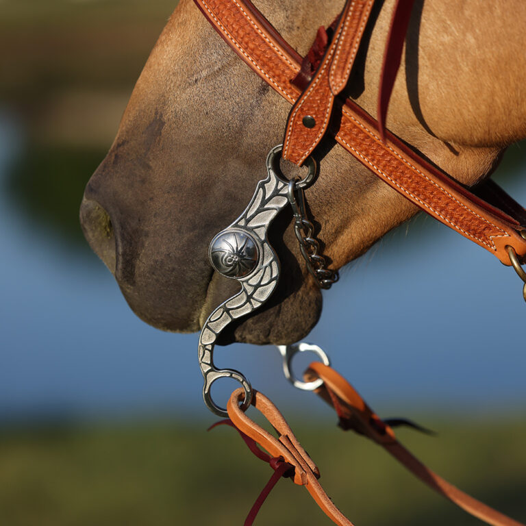 Spider Collection - Cowboy Tack