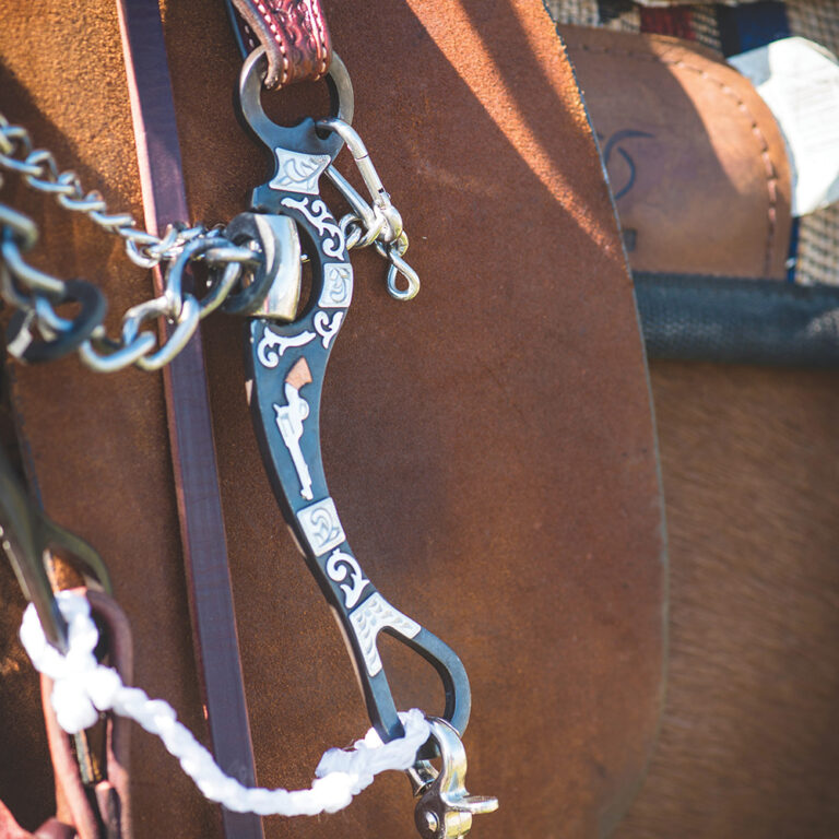 Tombstone Collections - Cowboy Tack