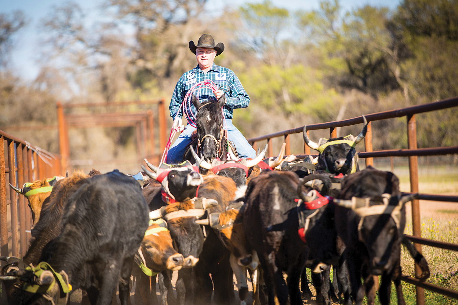 Tyler Magnus – Cowboy Tack