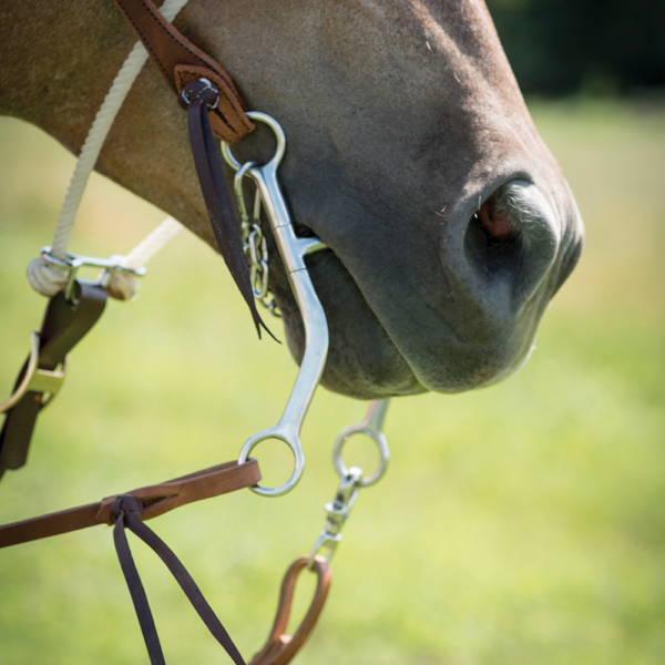 Performer Collection - Cowboy Tack