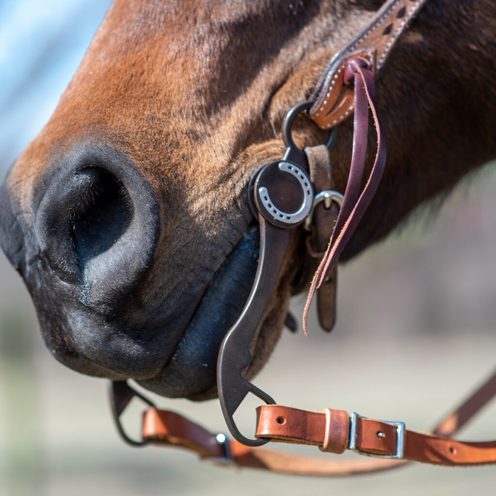 Horseman Collection - Cowboy Tack