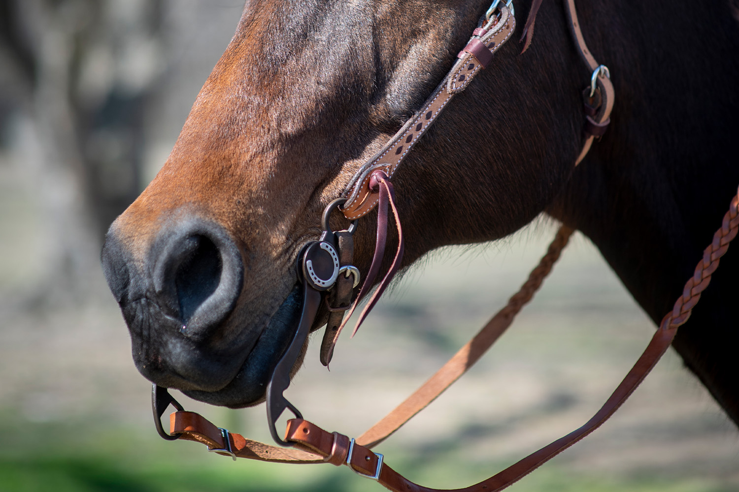 Horseman Collection - Cowboy Tack