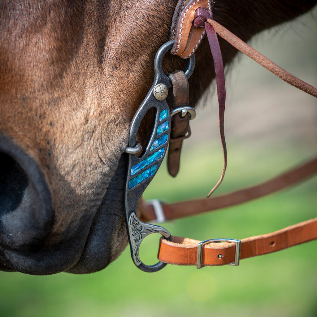 Turquoise Collection - Cowboy Tack