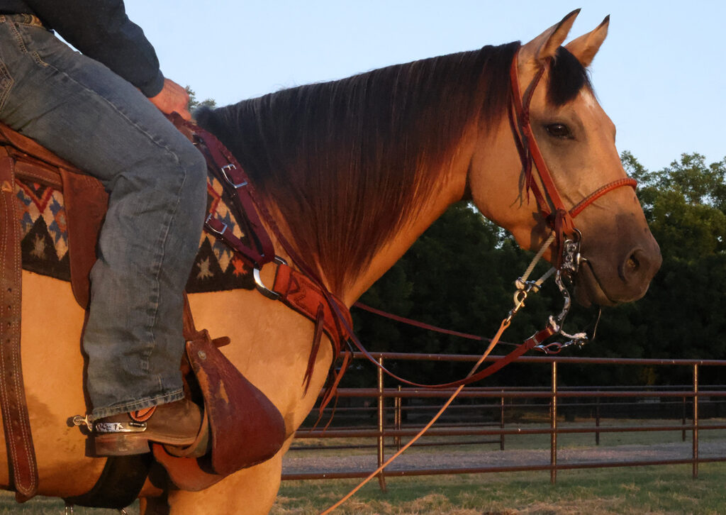 About - Cowboy Tack
