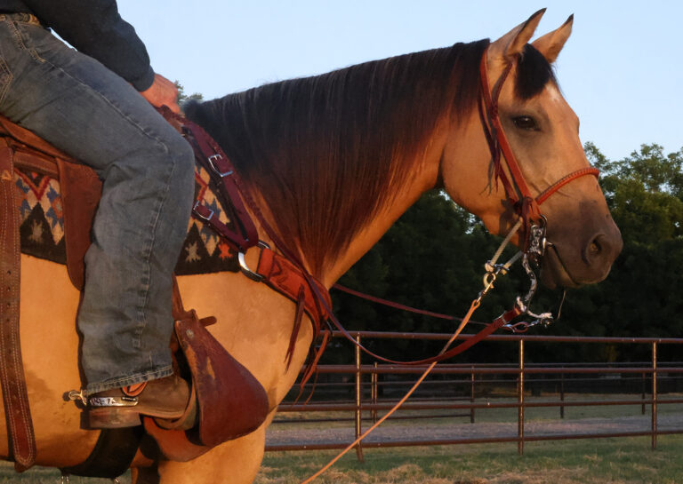 About - Cowboy Tack